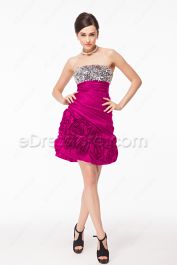 Silver Sequin Hot pink Homecoming Dresses with Flowers | eDresstore